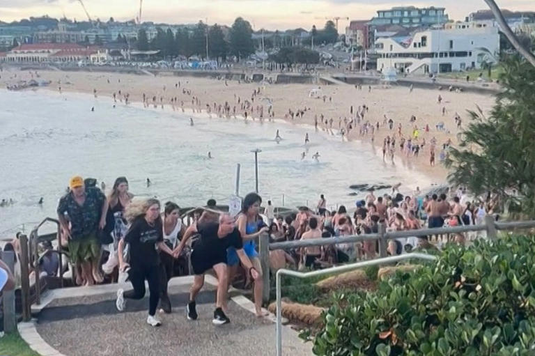 'Doomsday prepper' who praised Bondi Beach terrorists arrested, found ...