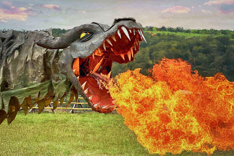 Wikinger-Schiffe auf sächsischem See: Was geht hier denn ab?