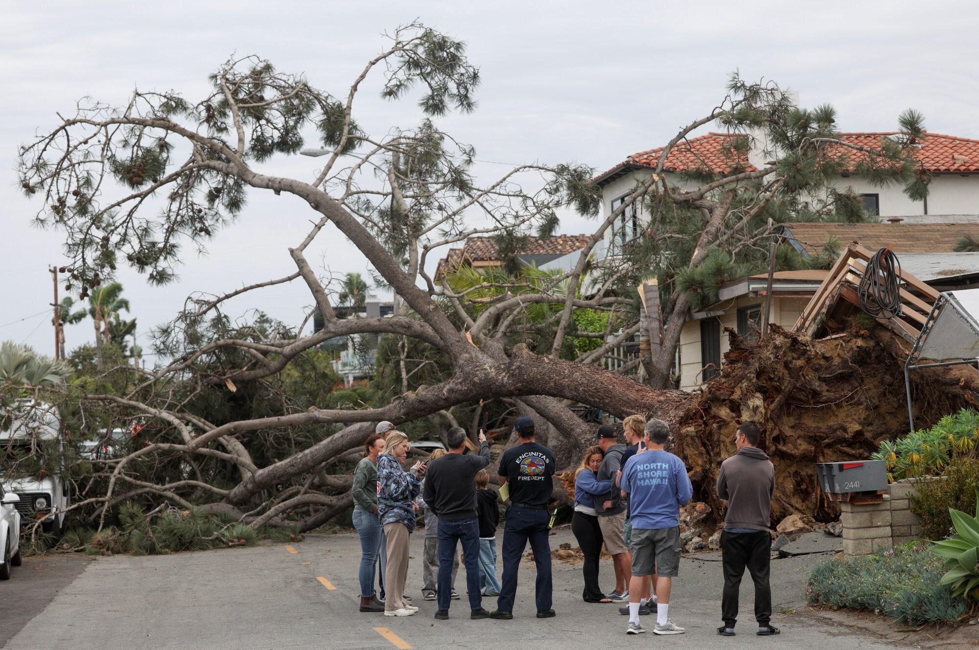 Christmas Eve storm packs wild winds across San Diego County, killing 1