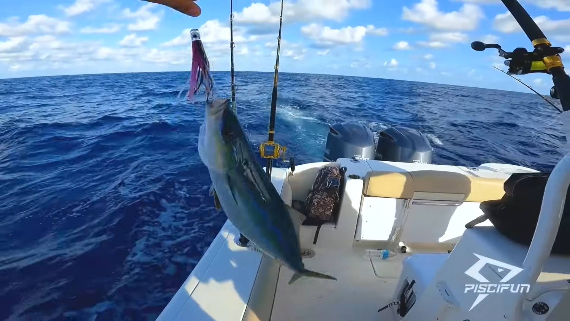This is what 140 feet of water hides off Key Largo