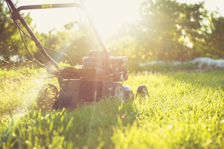 Mann mäht am Feiertag seinen Rasen, dann greift er zur Holzlatte