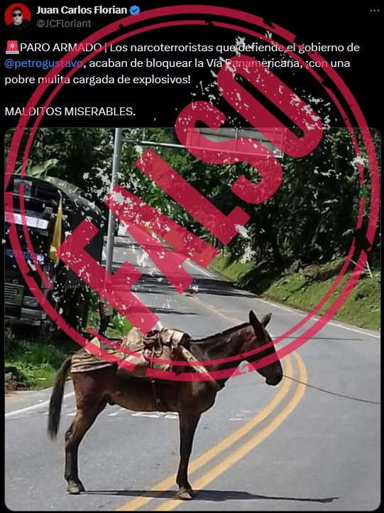 Foto de una mula en la carretera es vieja y no corresponde a un ...