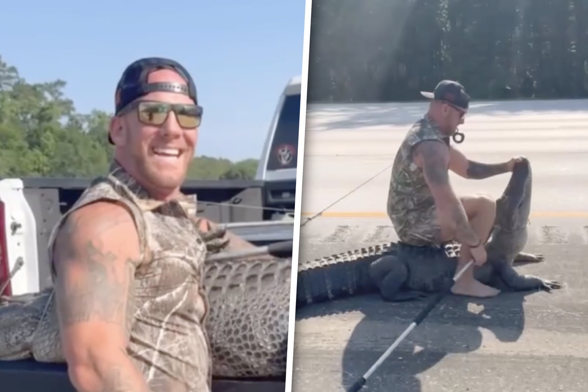 Knockout! MMA fighter wrestles alligator barefoot on the highway