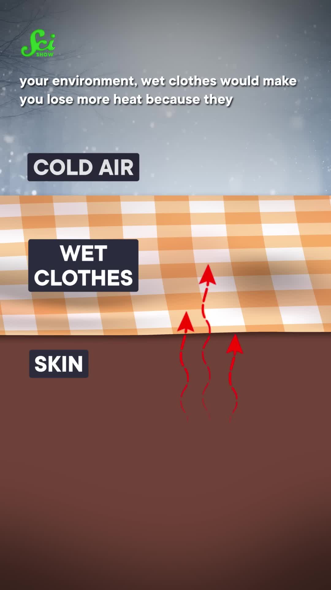 Why would you take your clothes off when you're cold? #shorts #science ...