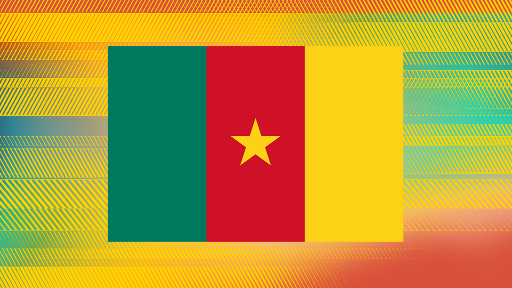 Cameroun - Mozambique : les Lions indomptables battent les Mambas, mais ...