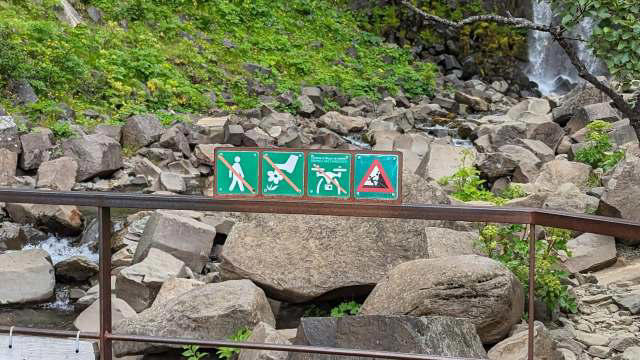 Onlooker shares photo of tourists' thoughtless behavior witnessed at ...