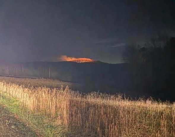 Officials say fire at North Carolina National Forest is under control ...