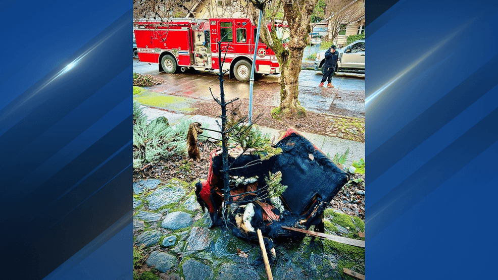 Portland Fire puts out Christmas tree blaze, urges people to keep water ...