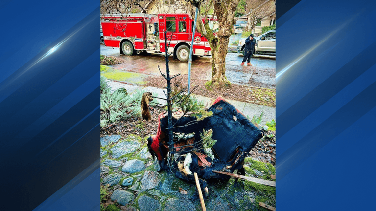 Portland Fire puts out Christmas tree blaze, urges people to keep water ...