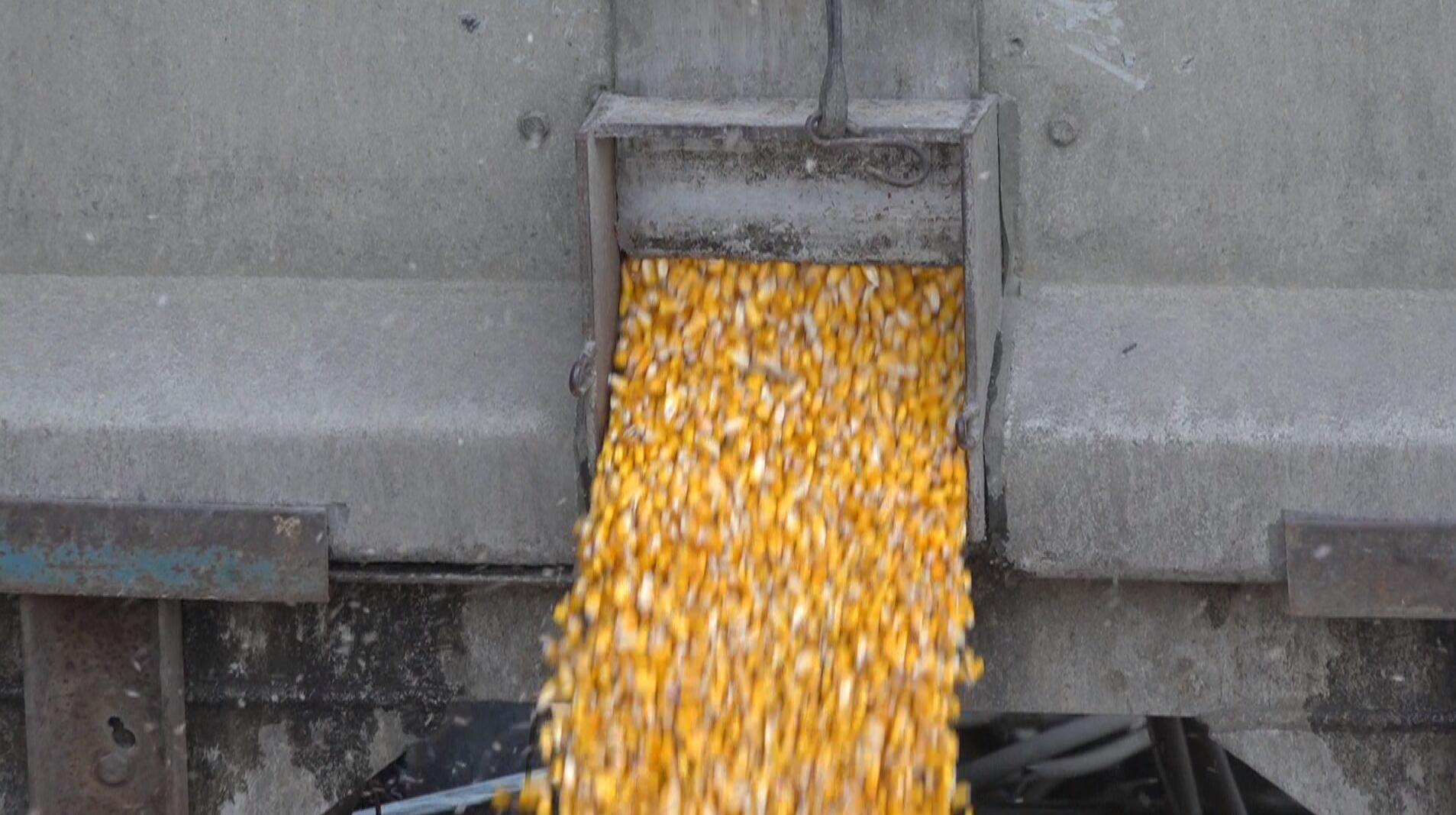 Local crop farmers benefit from federal financial assistance, but say ...