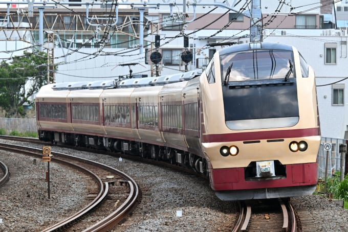 新春は成田山・富士山へ!JR東日本「2026年初詣＆初日の出」臨時列車まとめ