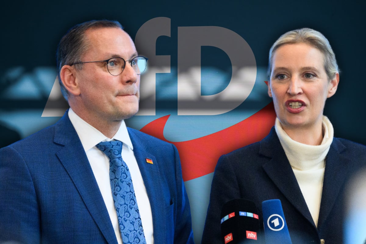 AfD gesichert rechtsextrem: Was bedeutet die neue Einstufung für Partei ...