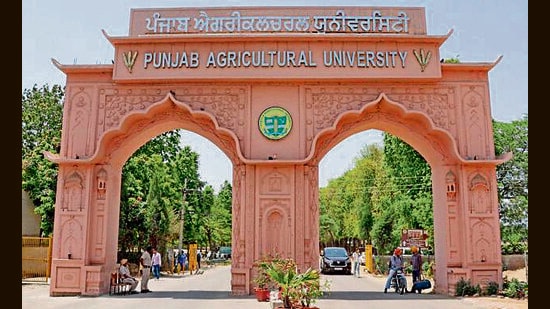 Ludhiana: PAU rolls back plan to fell 94 trees amid student protest
