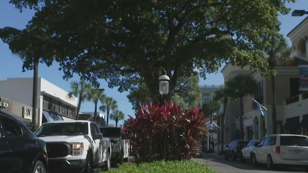 Fort Lauderdale's tree-lined Las Olas Boulevard's days may be numbered