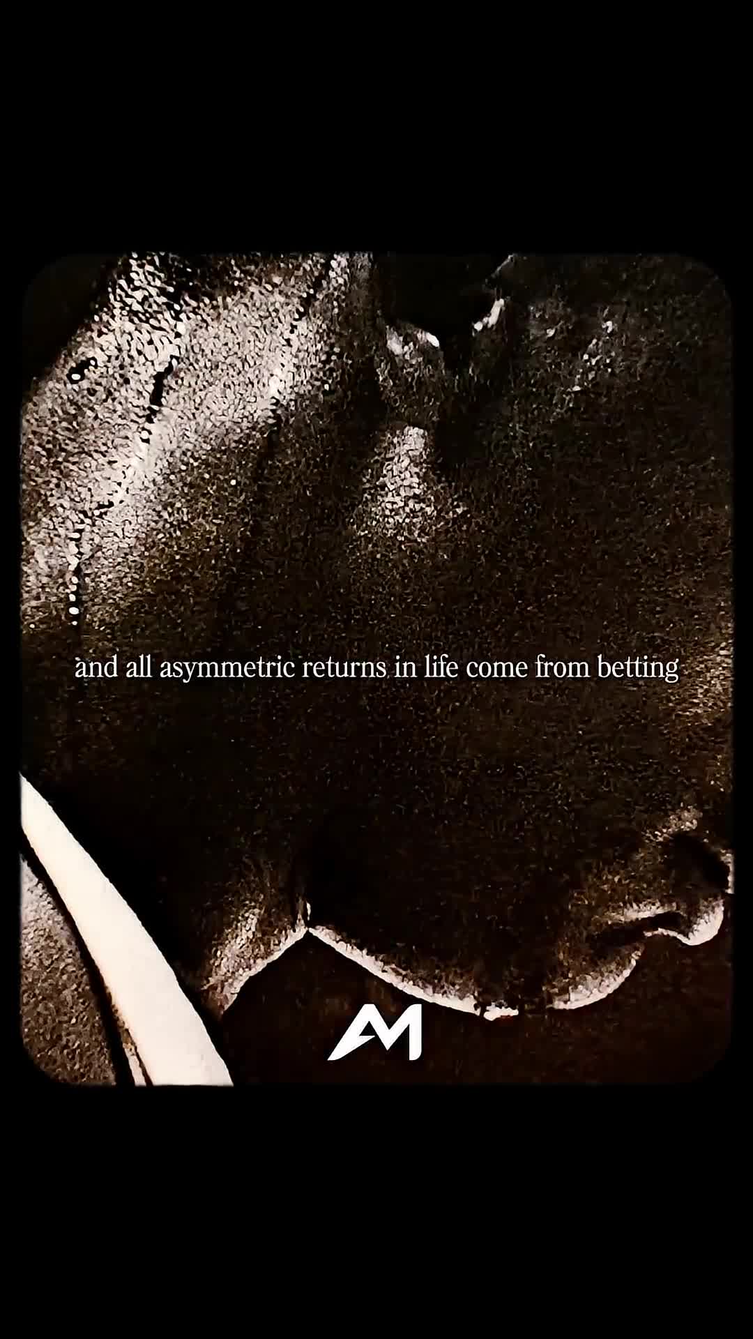 You must bet big on yourself | @AlexHormozi