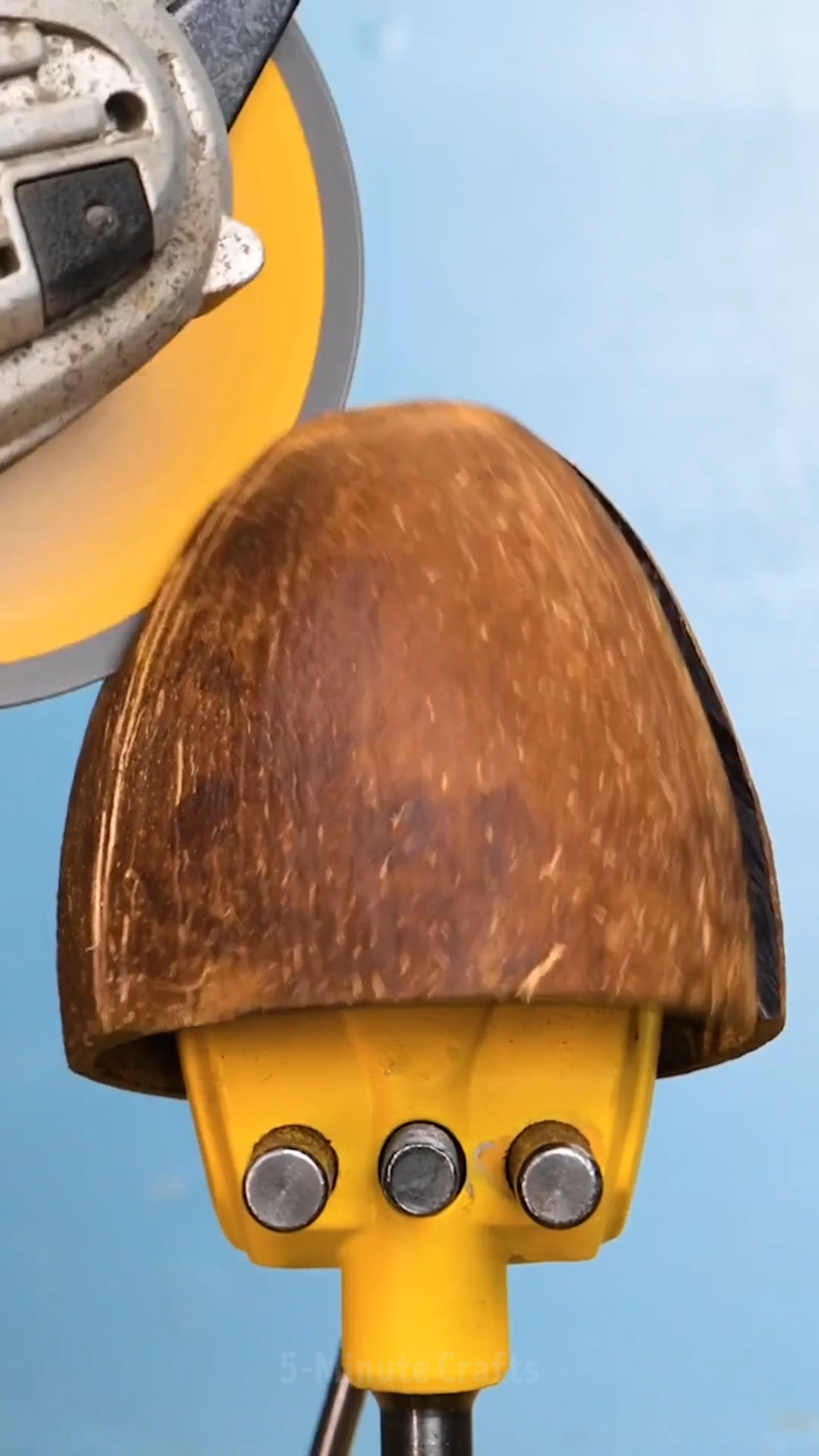 Crafting a unique coconut ring: A fun DIY project