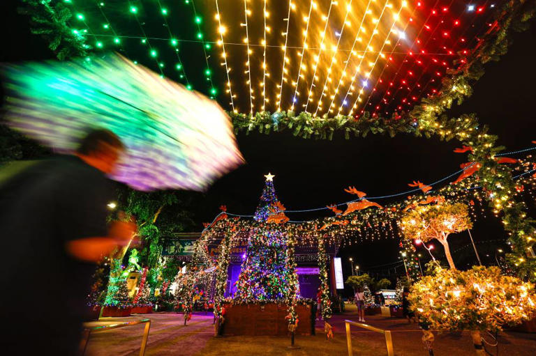 Christmas, coexistence and confidence of faith