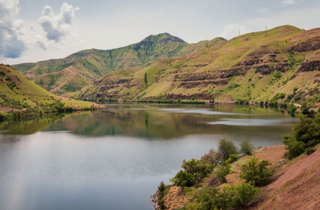 'De-extinction' company announces plan to reintroduce species not seen ...