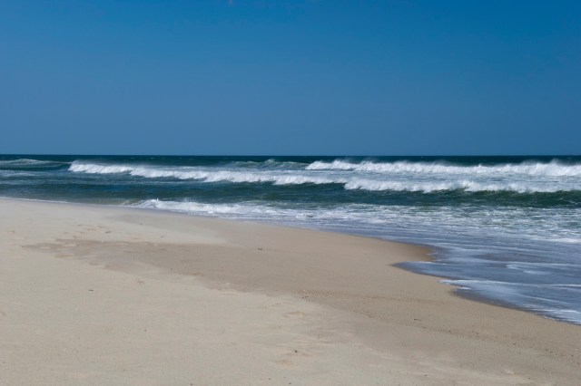 Experts issue warning after uncovering pattern of creatures washed up ...