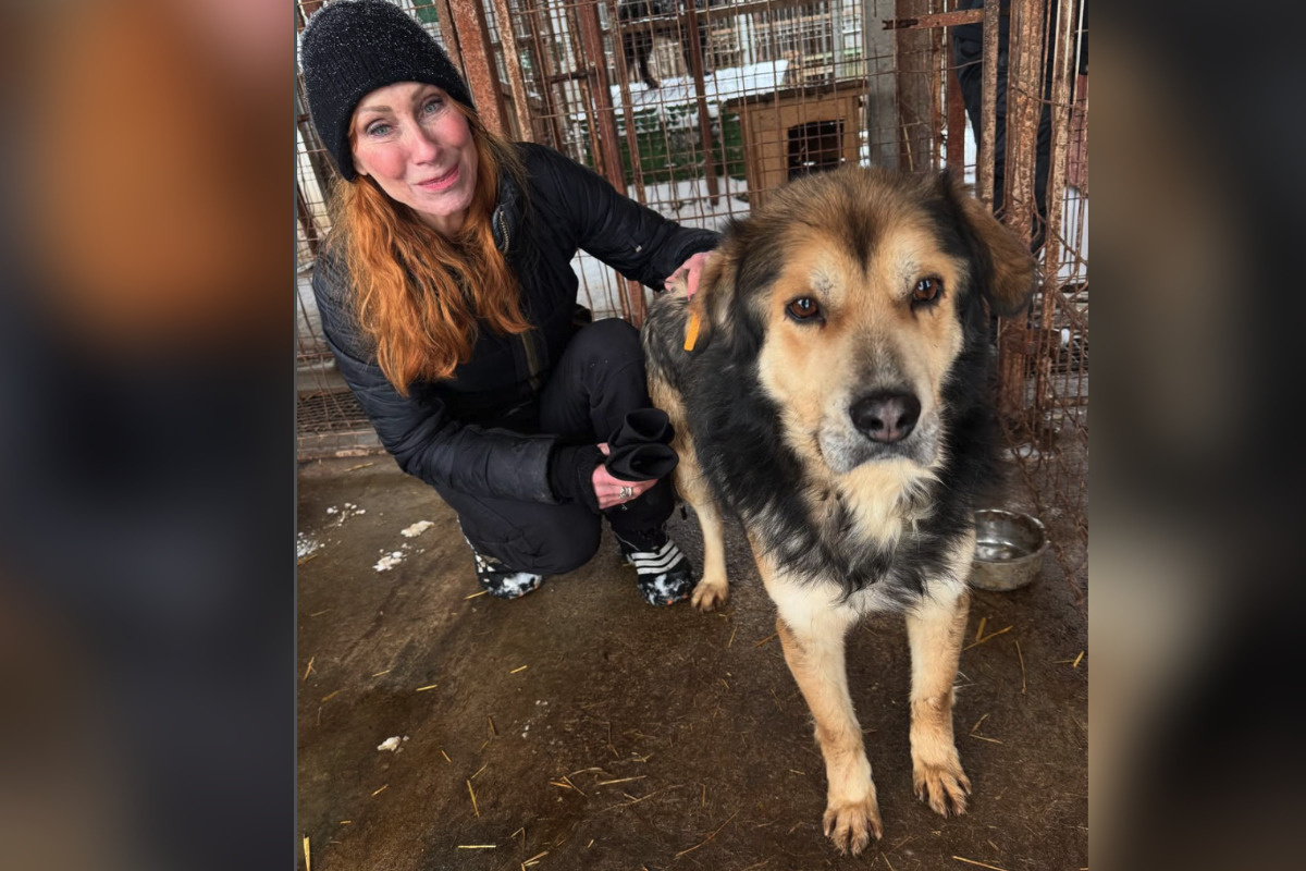 Andrea Sawatzki rettet diese Hunde in letzter Sekunde vor dem Tod