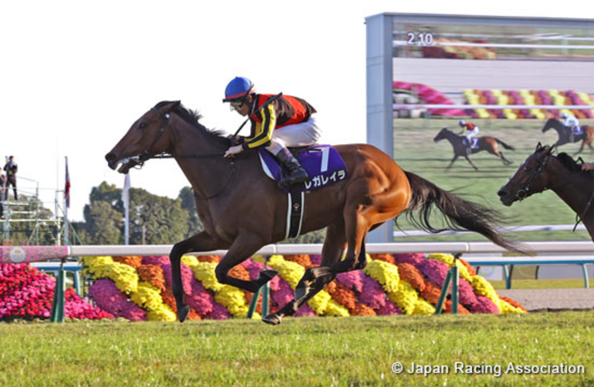 Japanese racing fans' favorite runners conclude 2025 in Arima Kinen