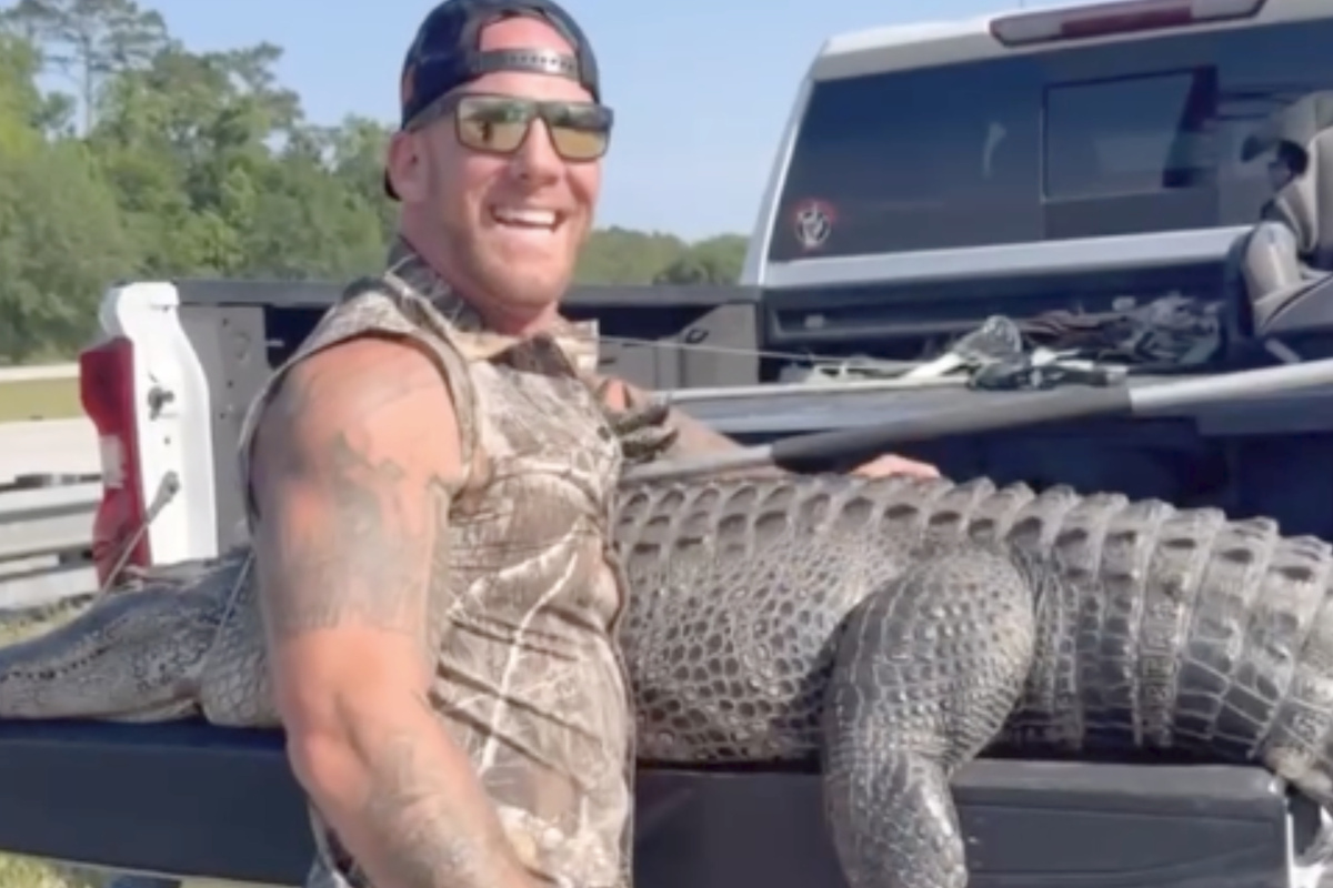 Knockout! MMA fighter wrestles alligator barefoot on the highway