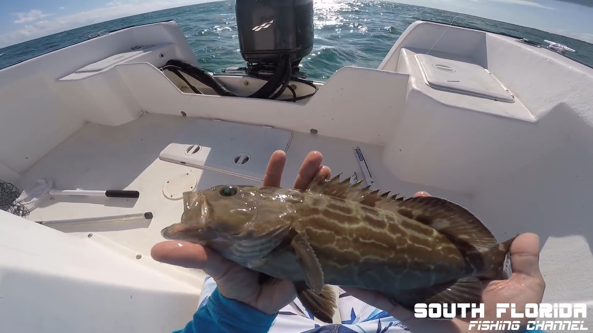 From reef to grill, Keys patch reef catch and cook