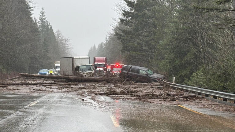 Skykomish River flooding swamps homes, shuts down 203 outside Monroe, WA
