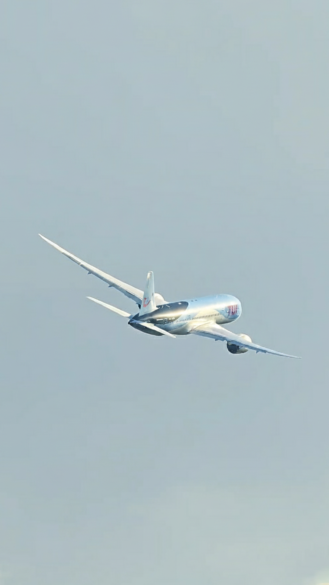 Smooth tracking shot of a Boeing 787