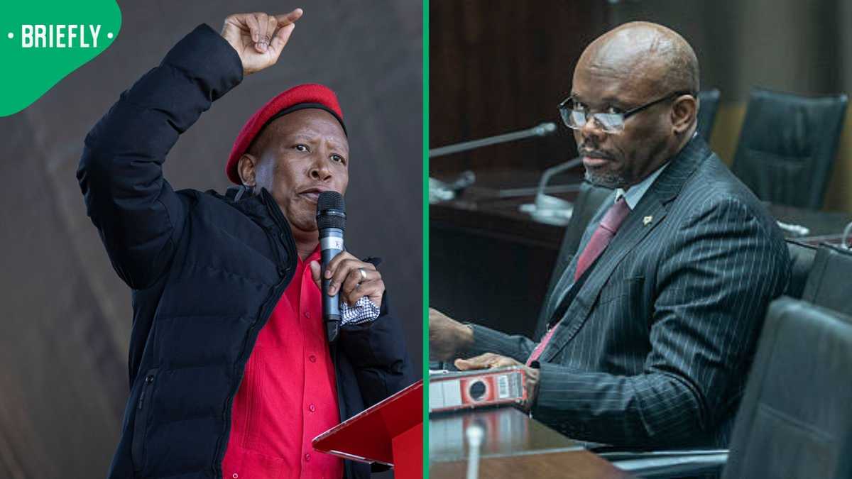 Julius Malema explains absence during General Shadrack Sibiya's ...
