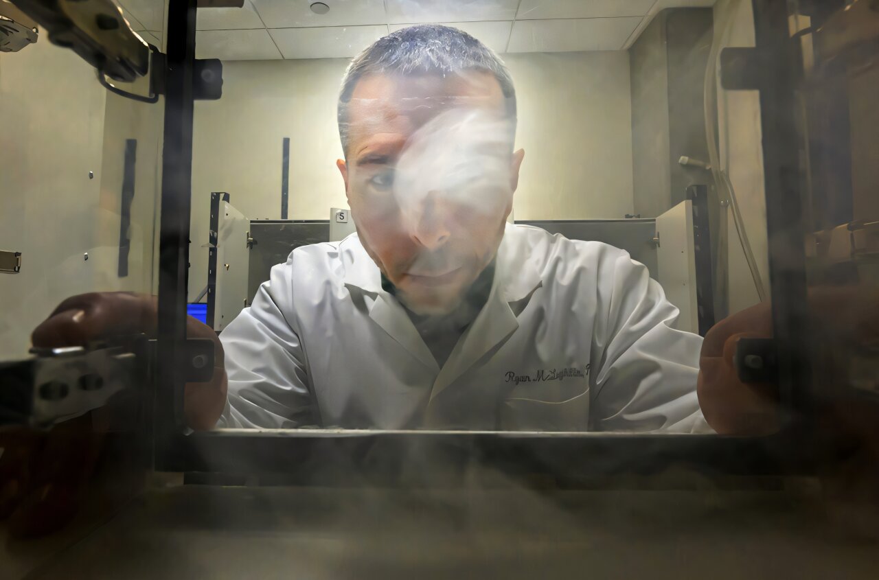 Rats may seek cannabis to cope with stress