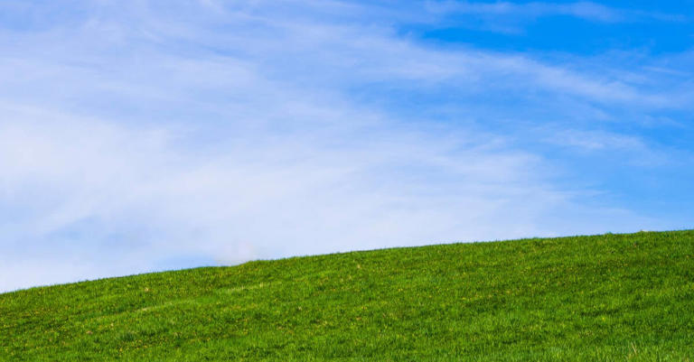 Legacy update expands archive of vanished Microsoft downloads