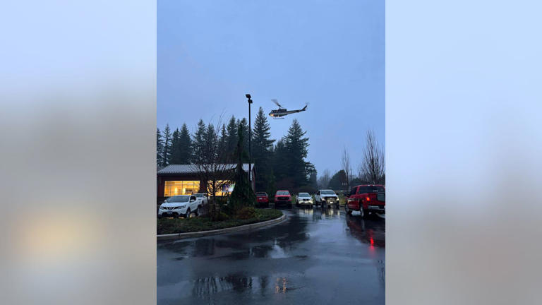 Skykomish River flooding swamps homes, shuts down 203 outside Monroe, WA