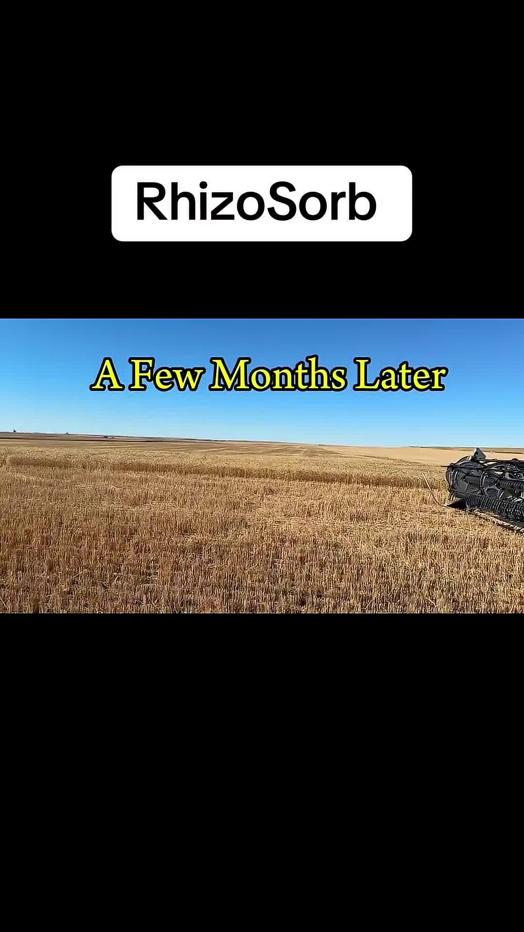 Cheaper fertilizer? You won’t believe this!