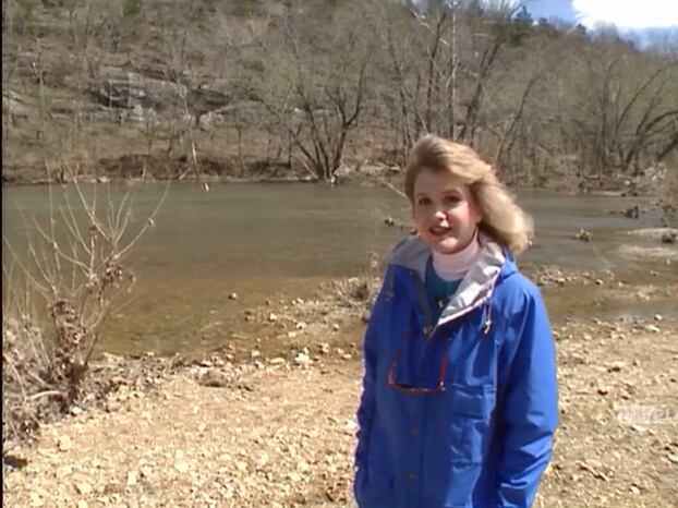 Former KY3 News anchor and longtime Silver Dollar City PR director Lisa ...