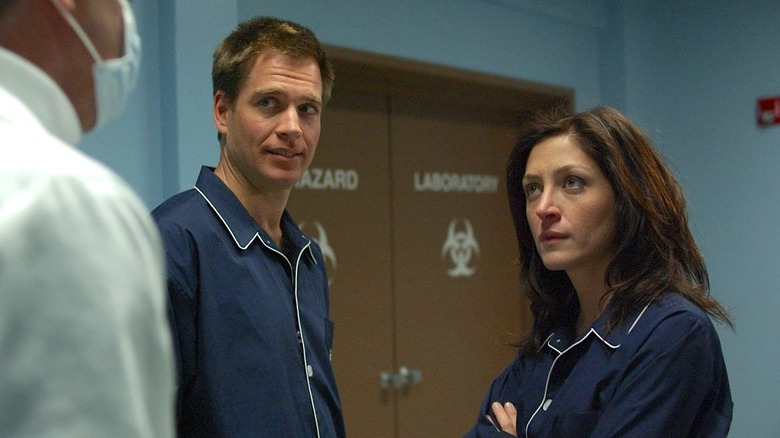 The real reason Sasha Alexander's Caitlin 'Kate' Todd was killed off on ...