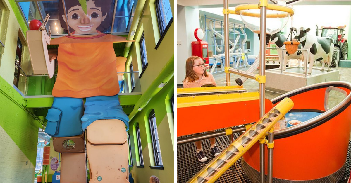 10 Illinois science museums kids enjoy most