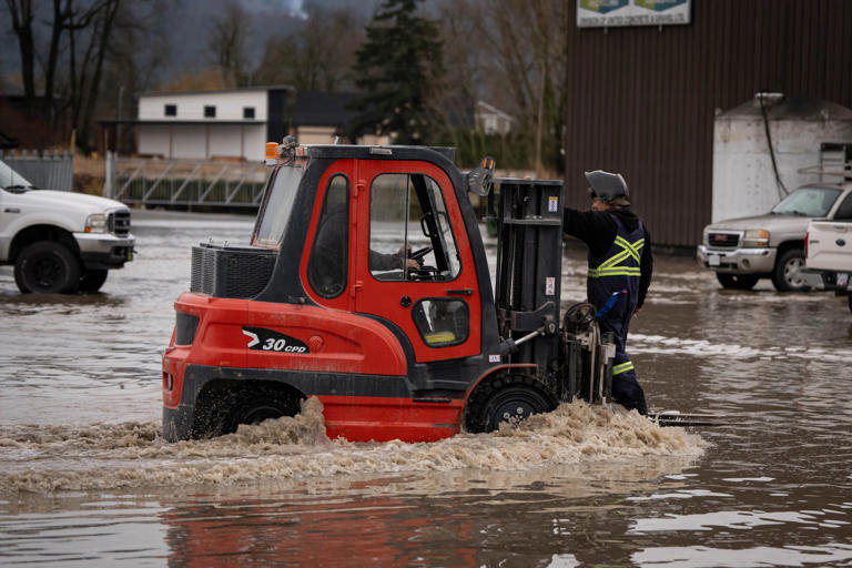 Familiar fate for Abbotsford as floodwaters gush over US border into BC ...