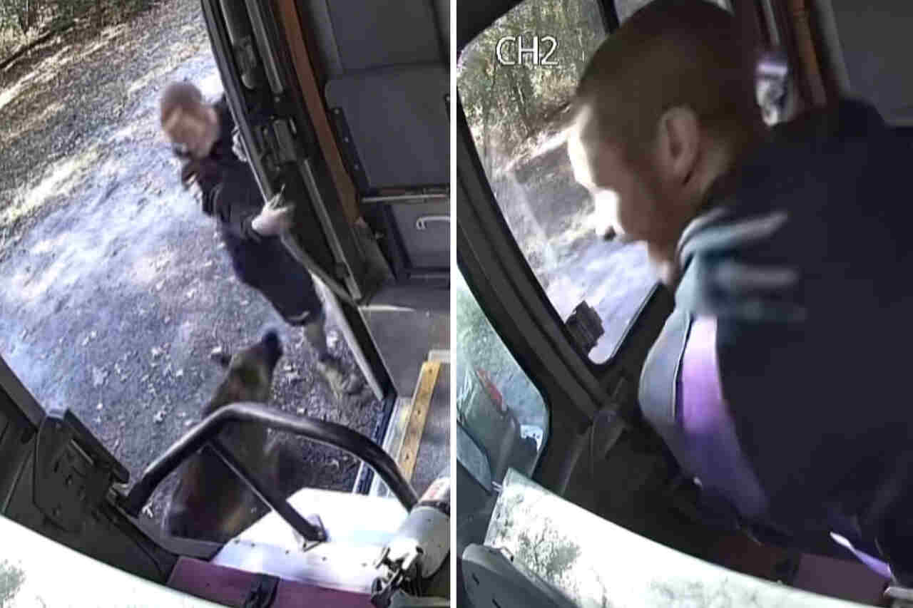 Delivery driver narrowly escapes dog attack and issues warning: "Keep ...