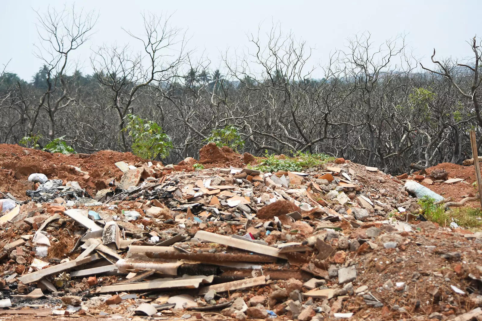 Mangrove buffer zone not applicable to pre-CZMP 2011 structures ...