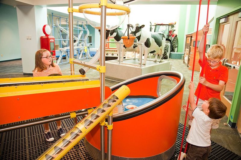 10 Illinois science museums kids enjoy most