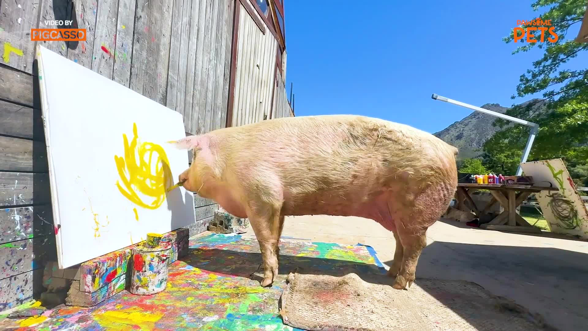 Pig paints her favourite animals