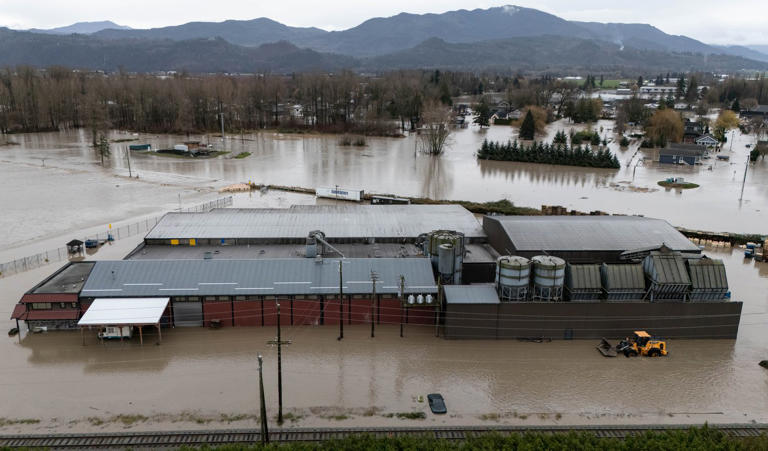 Familiar fate for Abbotsford as floodwaters gush over US border into BC ...
