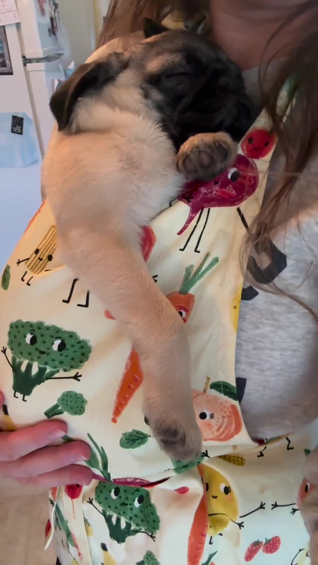 Sweet puppy is cuddling with owner!