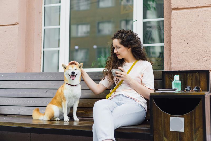10 dog breeds that are quiet at home but loud outside