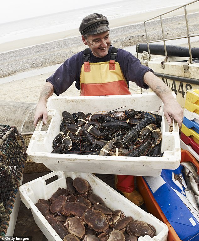 Offshore wind farms 'destroying Britain's fishing grounds' as crab and ...