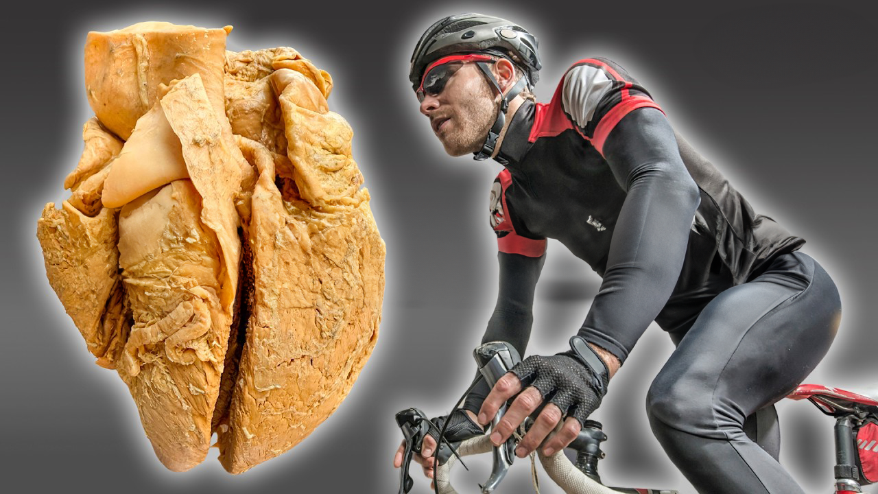 Longevity science: The power of movement