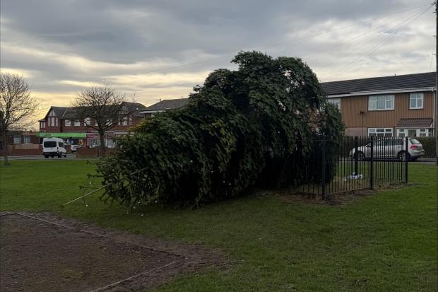 'Disgusting act' - County Durham village's Christmas tree 'deliberately ...
