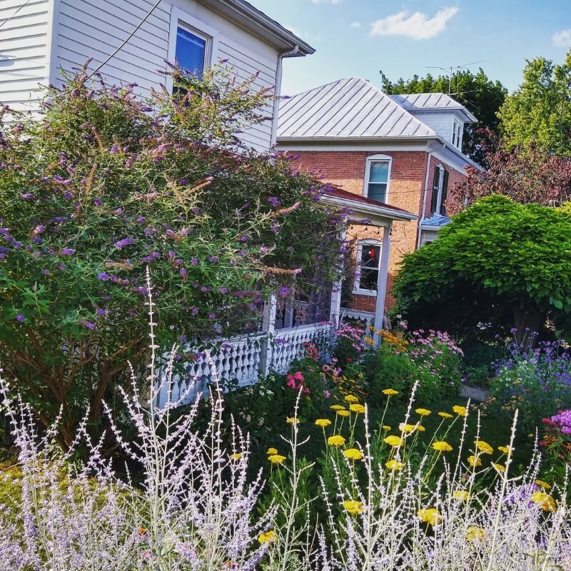 Gardener shows off stunning photos of unconventional front yard: 'It's ...