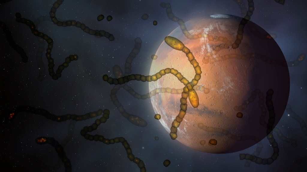 Scientists claim to have figured out what aliens eat
